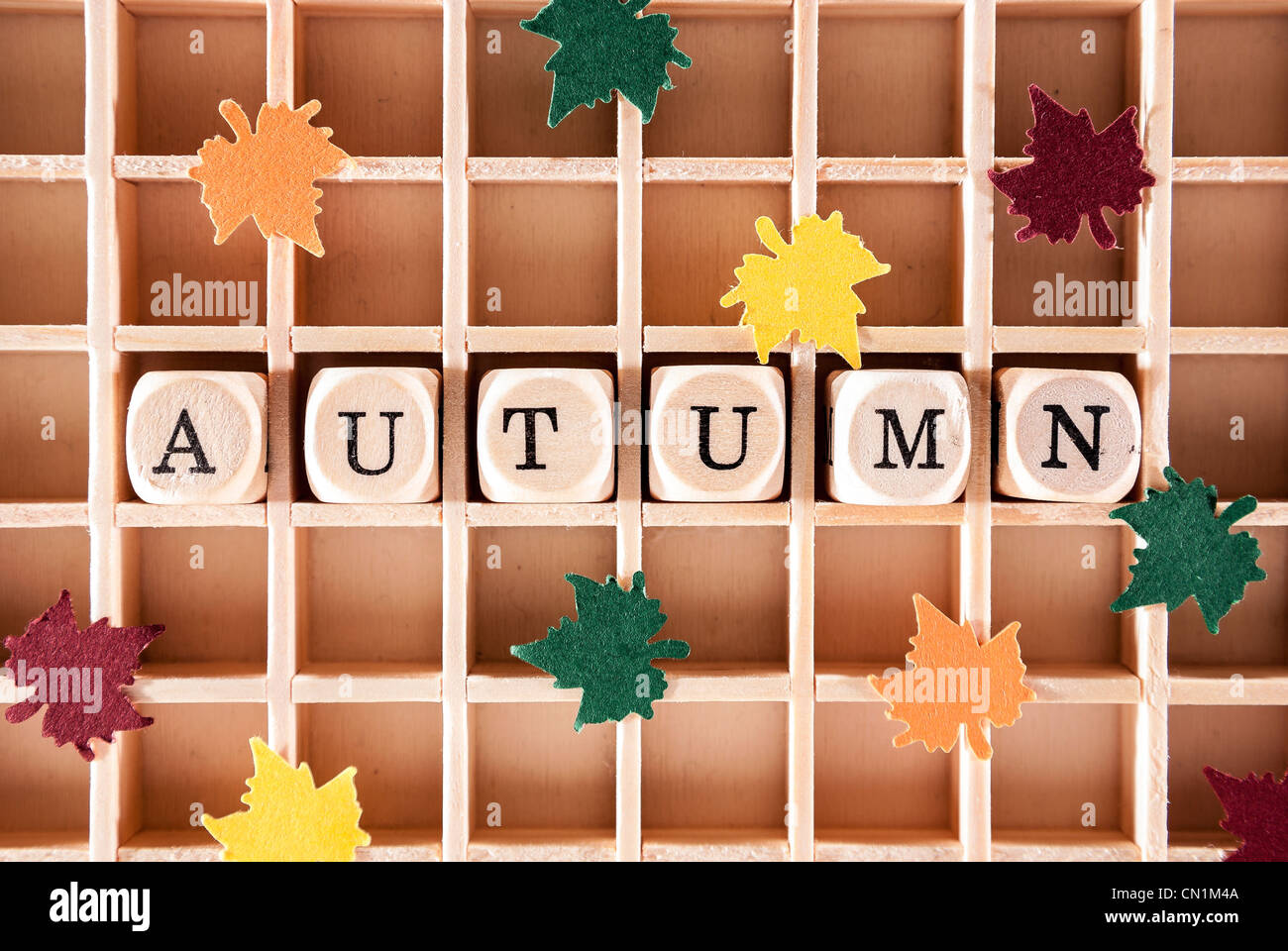 Autumn word construction with letter blocks / cubes, and some leaves ...