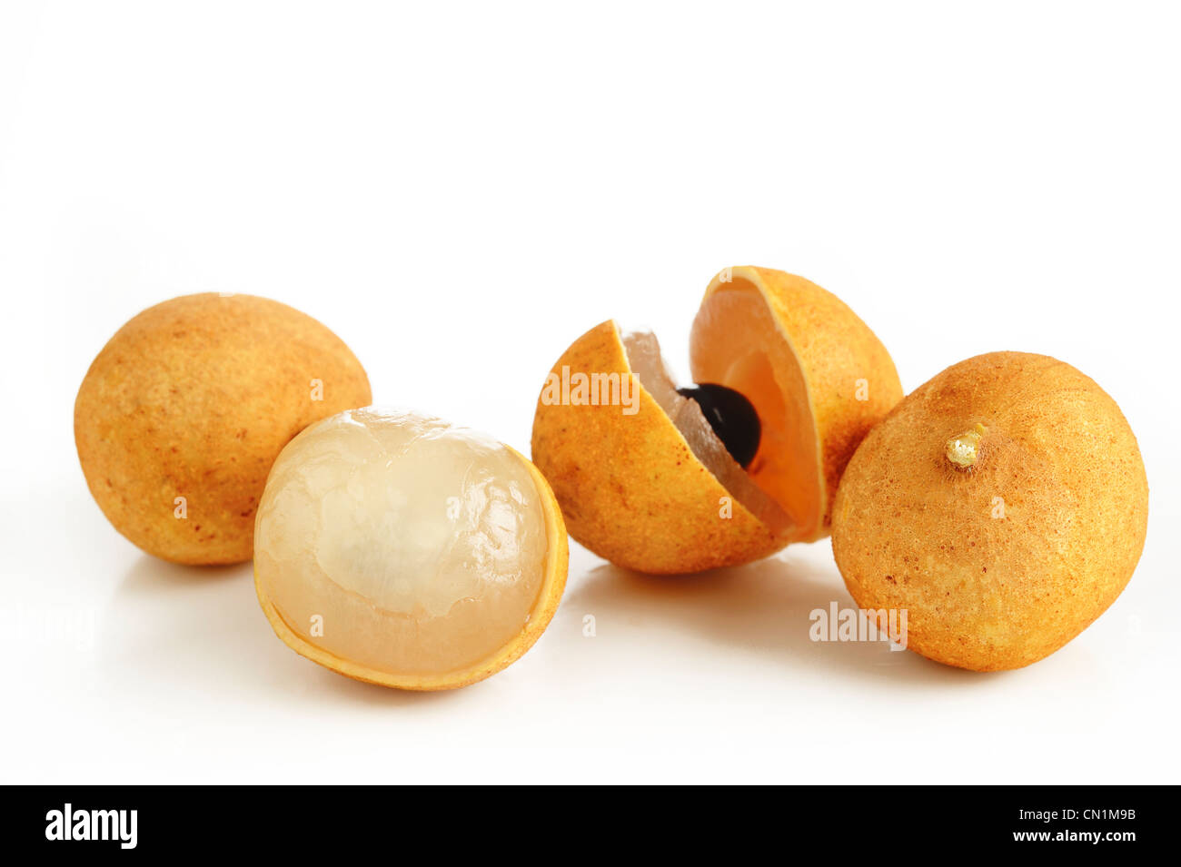 Longan From Seed Nutricion