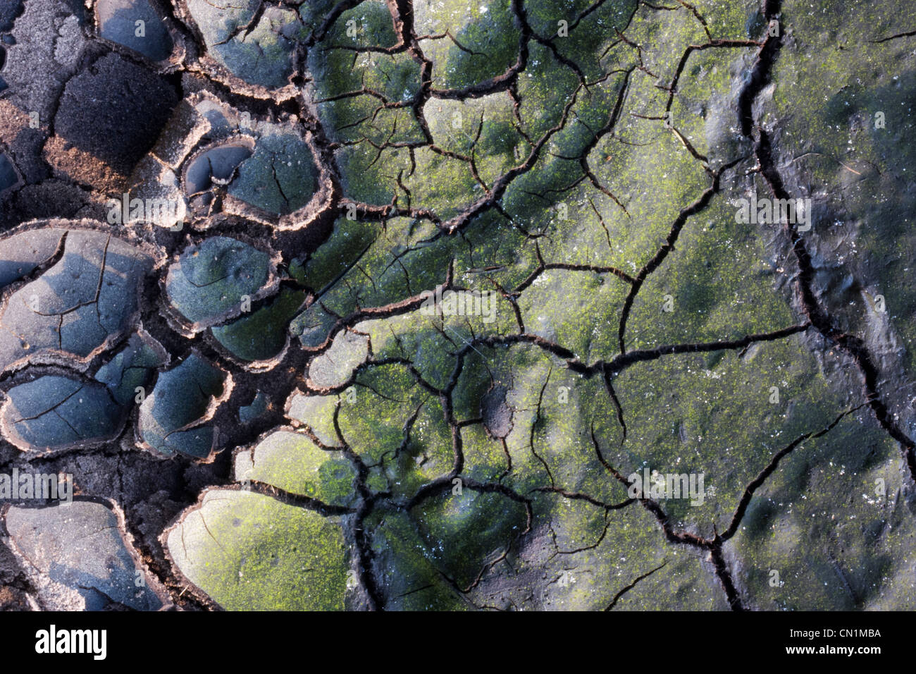 Cracks in mud after a long period of drought Stock Photo - Alamy