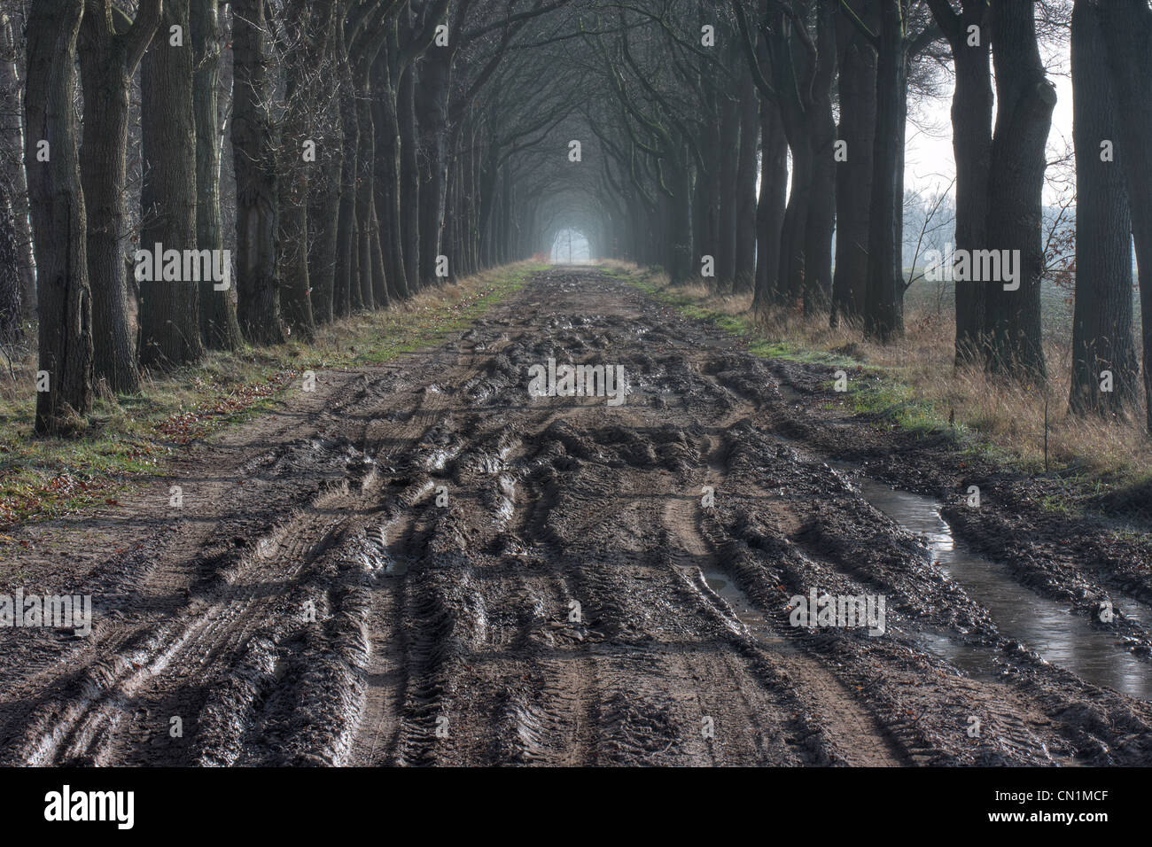 Bad road conditions: a muddy countryroad with car tracks in autumn ...