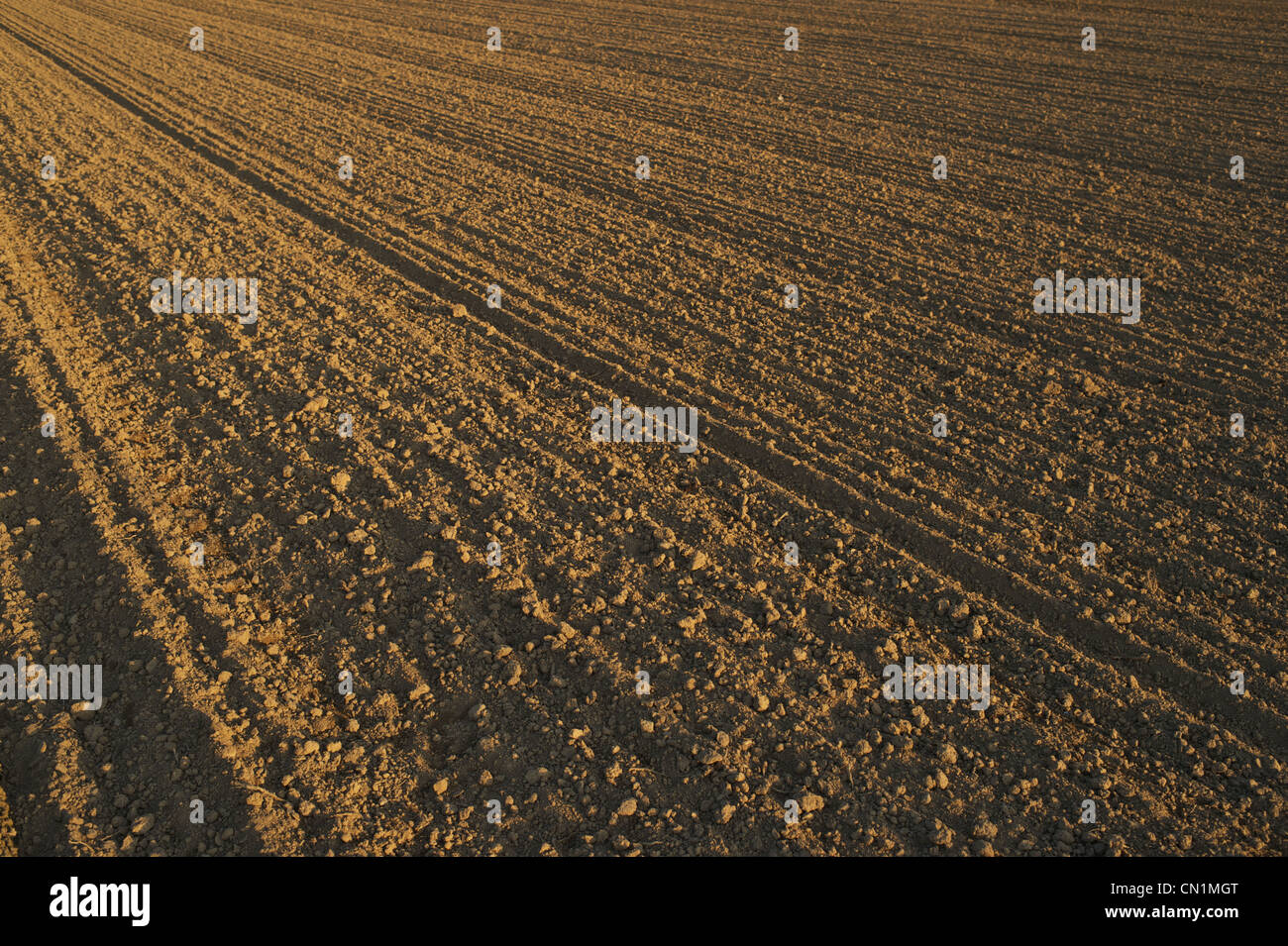 Harrowed Field High Resolution Stock Photography and Images - Alamy