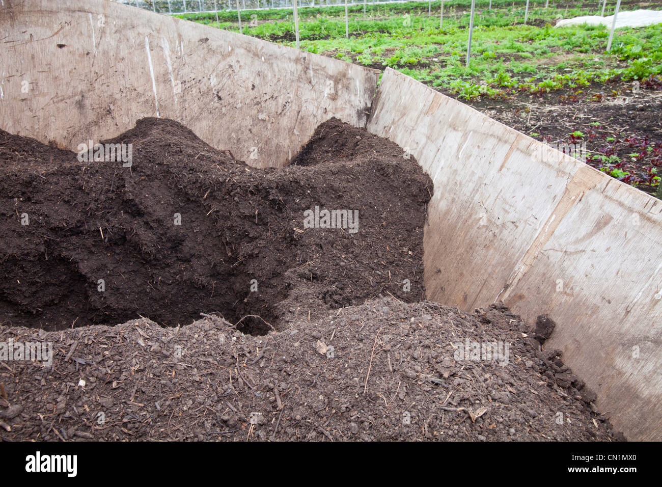 Growing with Grace is an organic fruit and vegetable growing co ...