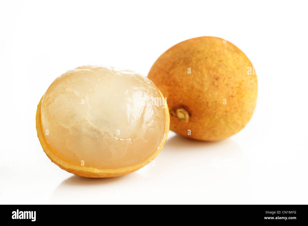 two longan seed on white background Stock Photo - Alamy