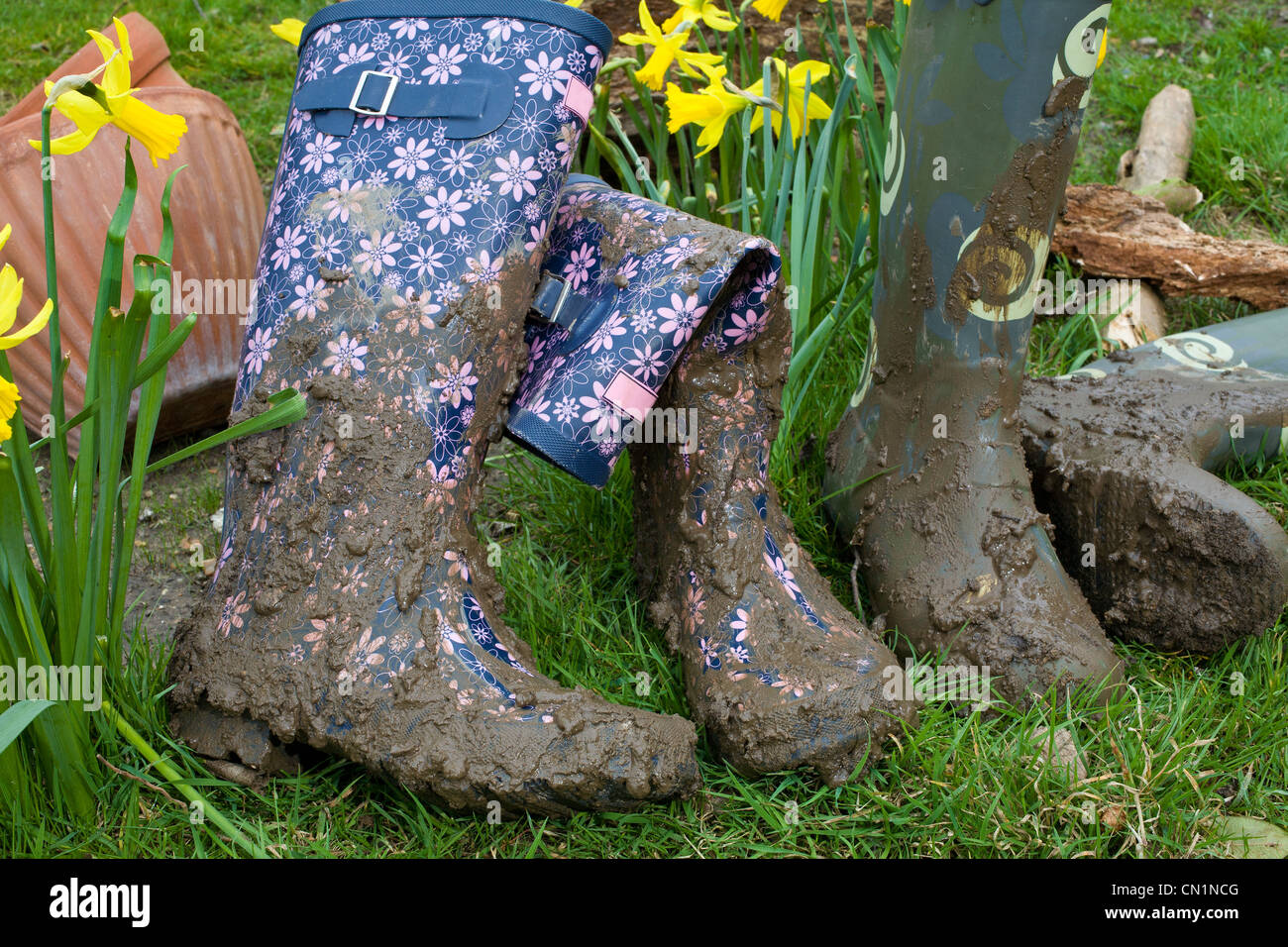 Muddy boots with spring daffodils Stock Photo - Alamy
