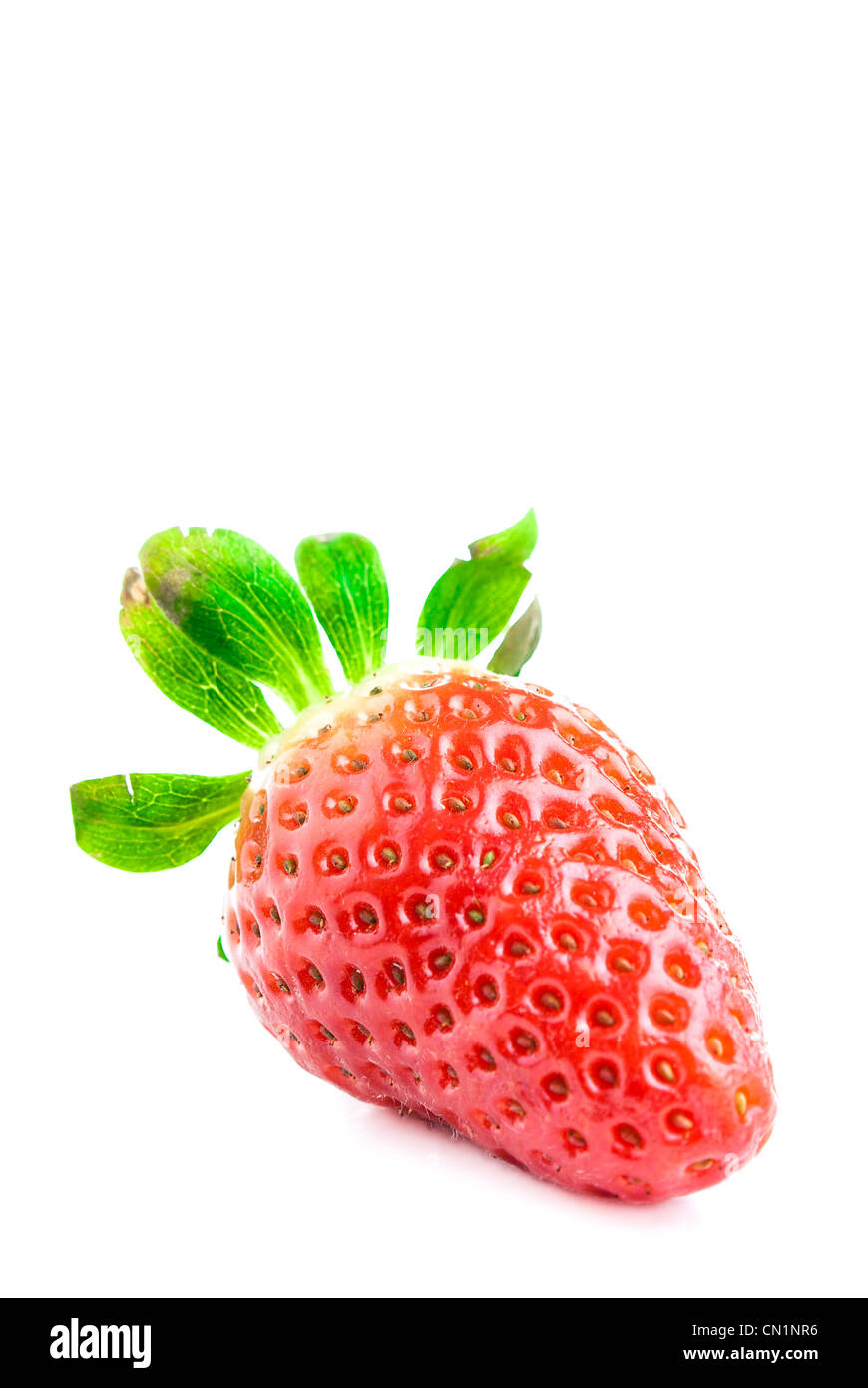Strawberry fruits on a white background Stock Photo - Alamy