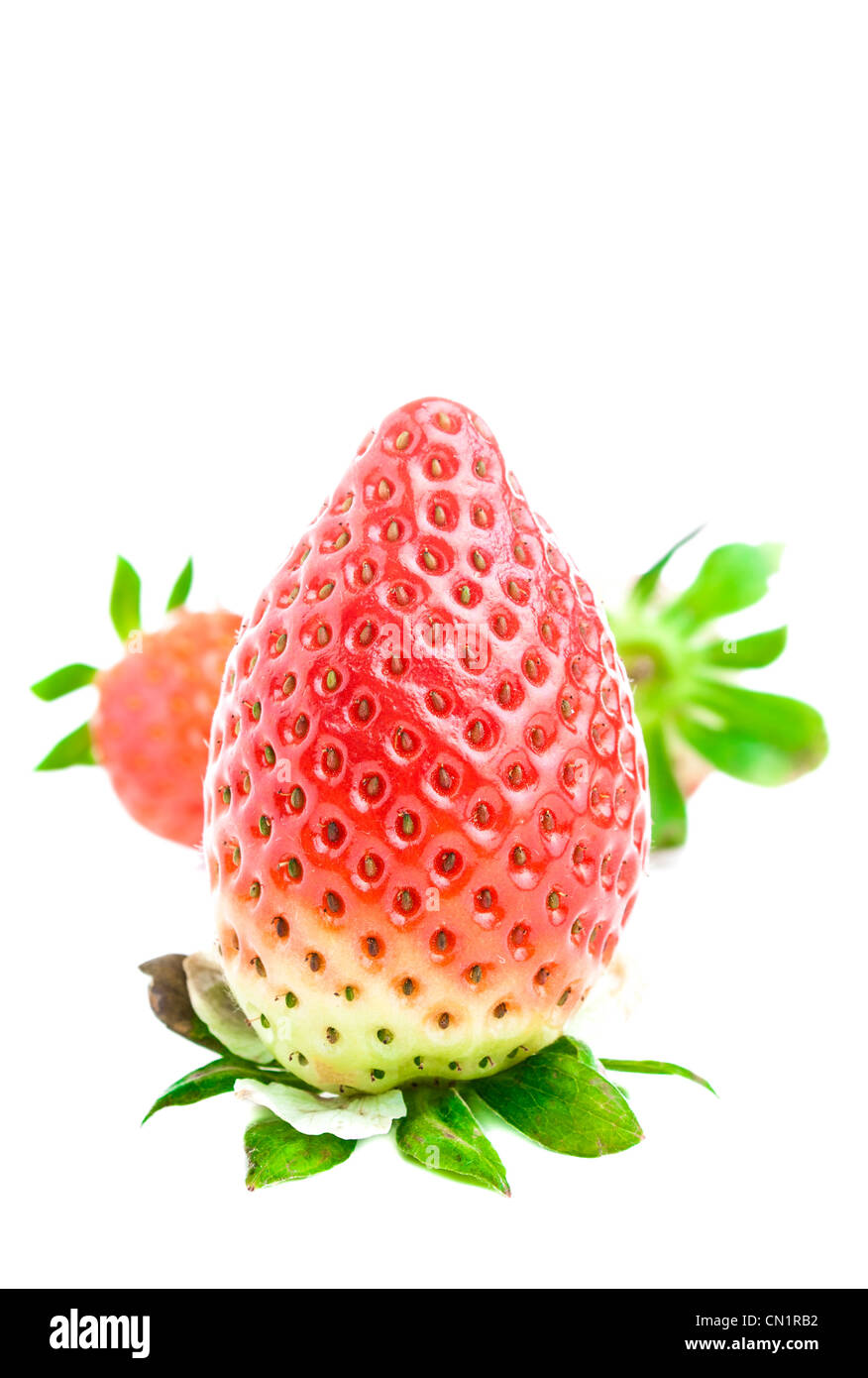 Strawberry fruits on a white background Stock Photo - Alamy