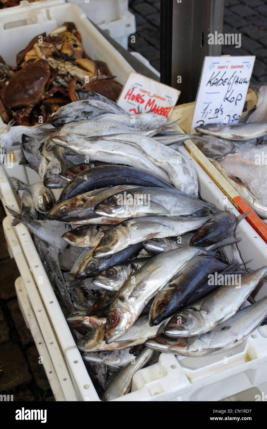 Netherlands Groningen Fish Market Stock Photo - Alamy