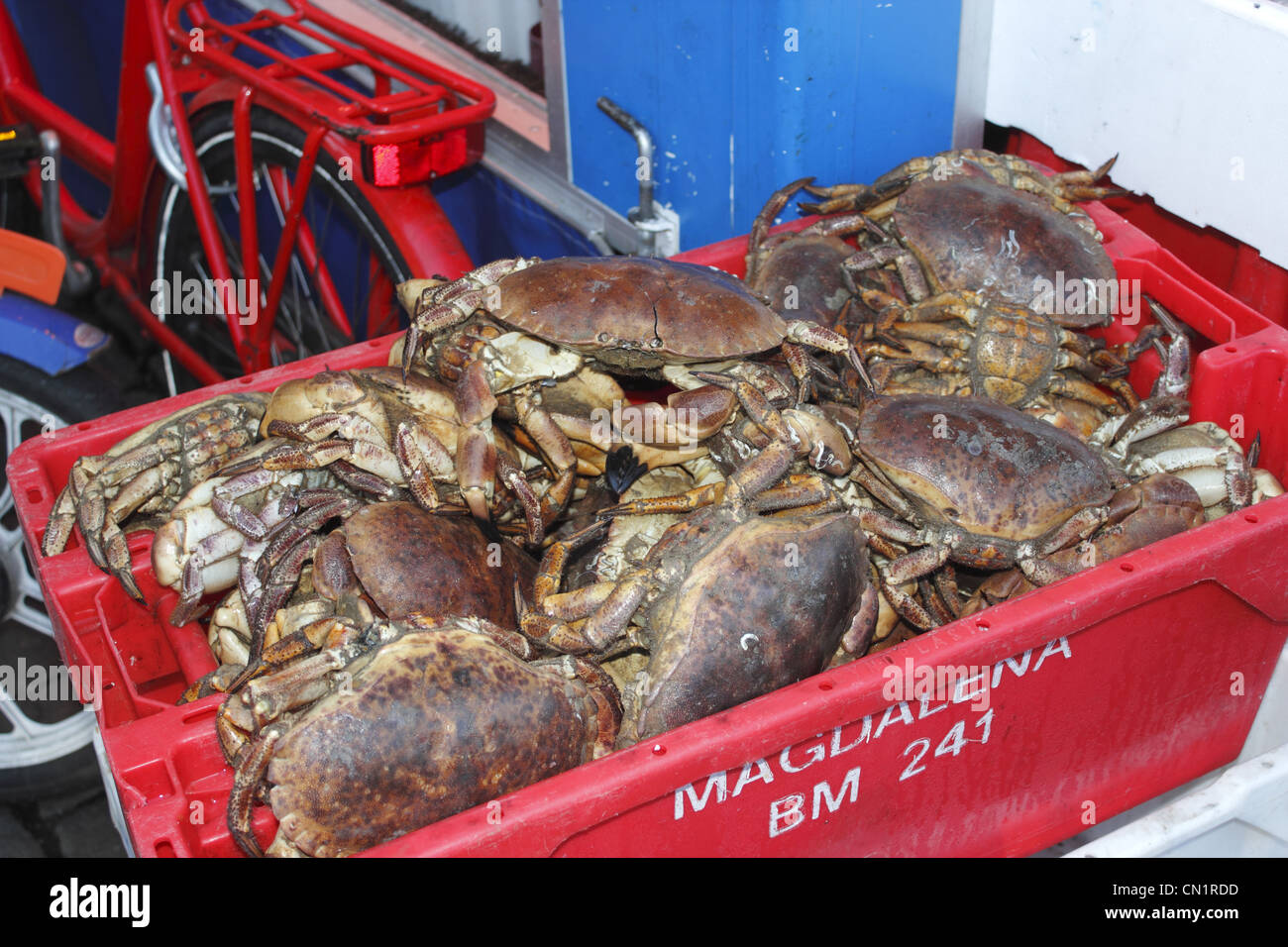 Netherlands Groningen Fish Market Stock Photo - Alamy