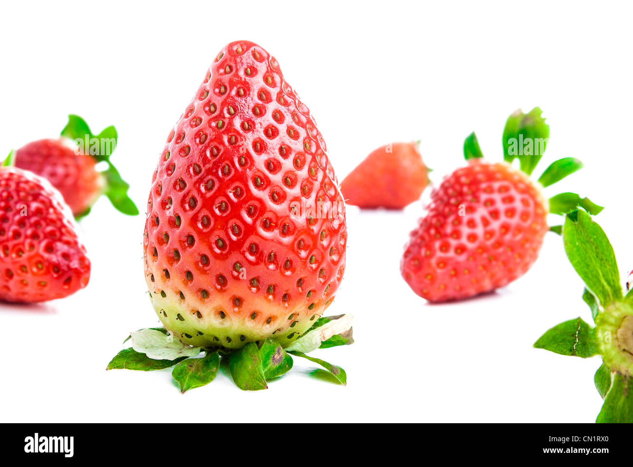 Strawberry fruits on a white background Stock Photo - Alamy