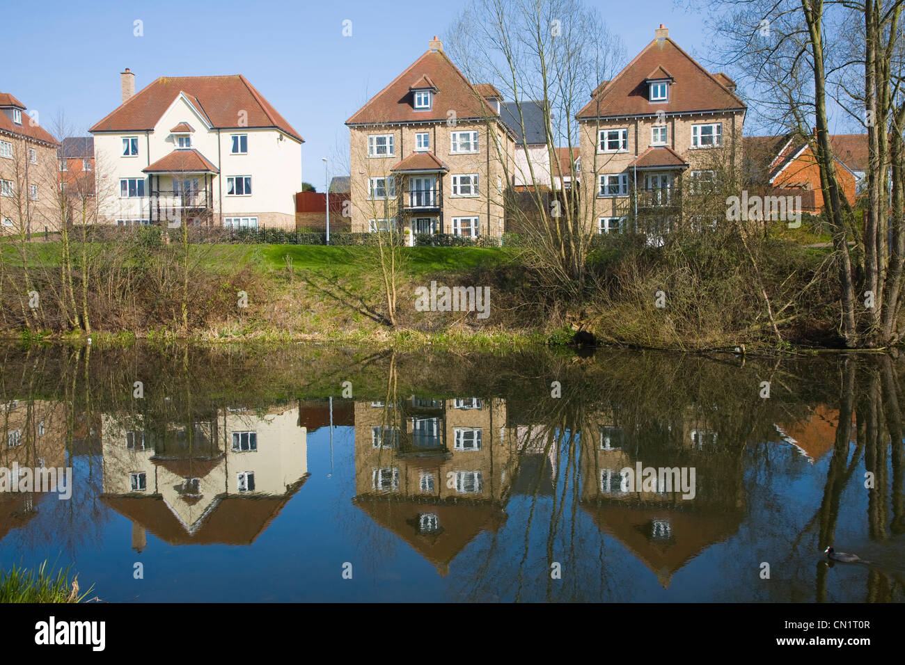 New housing development by River Colne Colchester Essex England ...