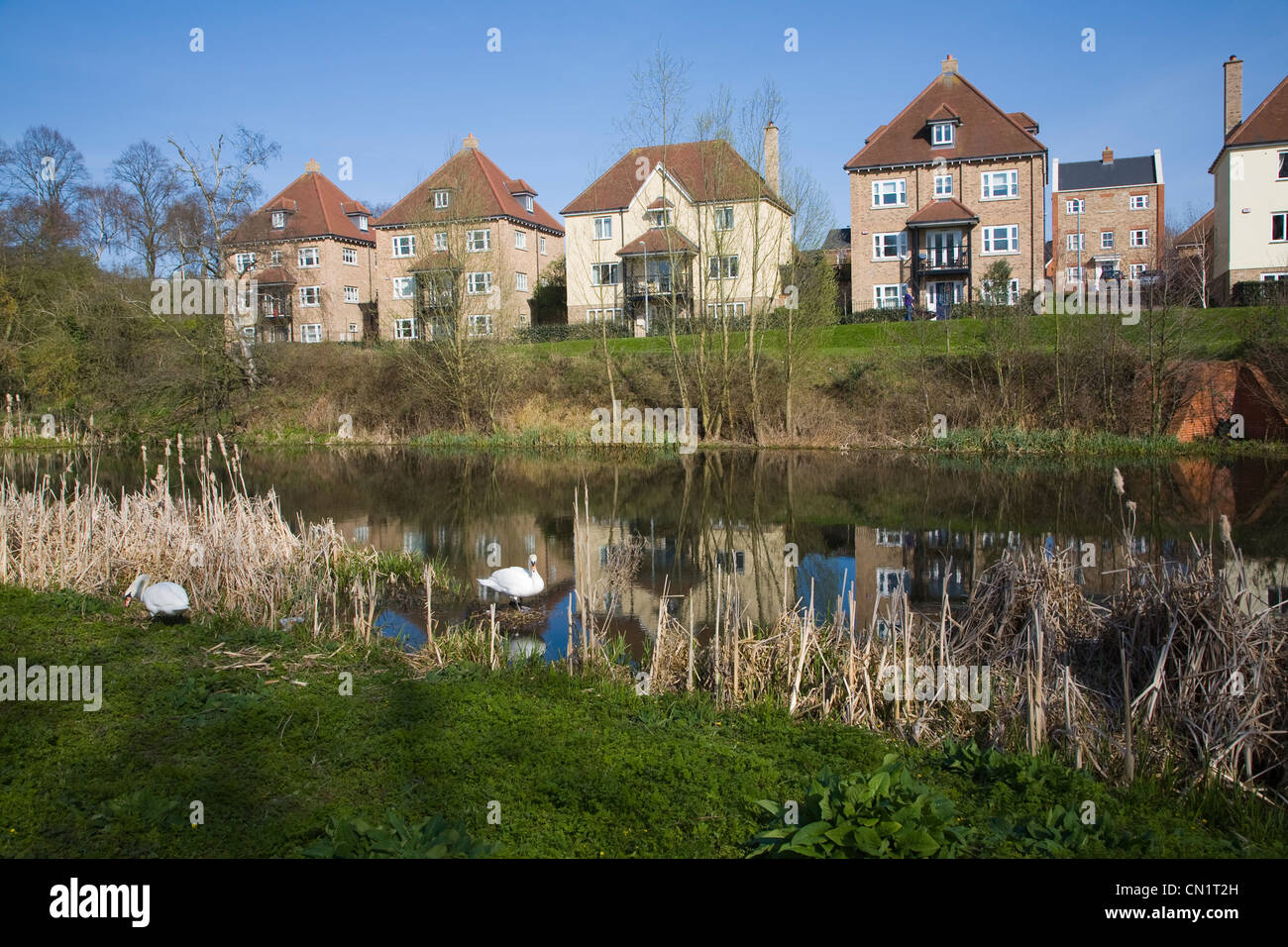 New housing development by River Colne Colchester Essex England ...