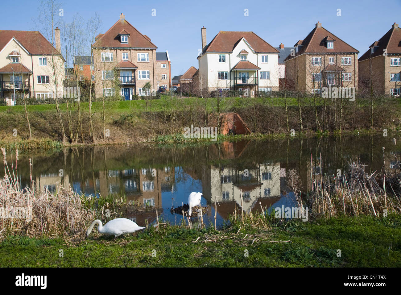 New housing development by River Colne Colchester Essex England ...