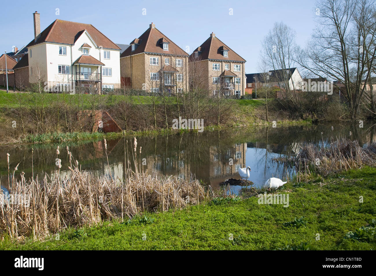 New housing development by River Colne Colchester Essex England ...