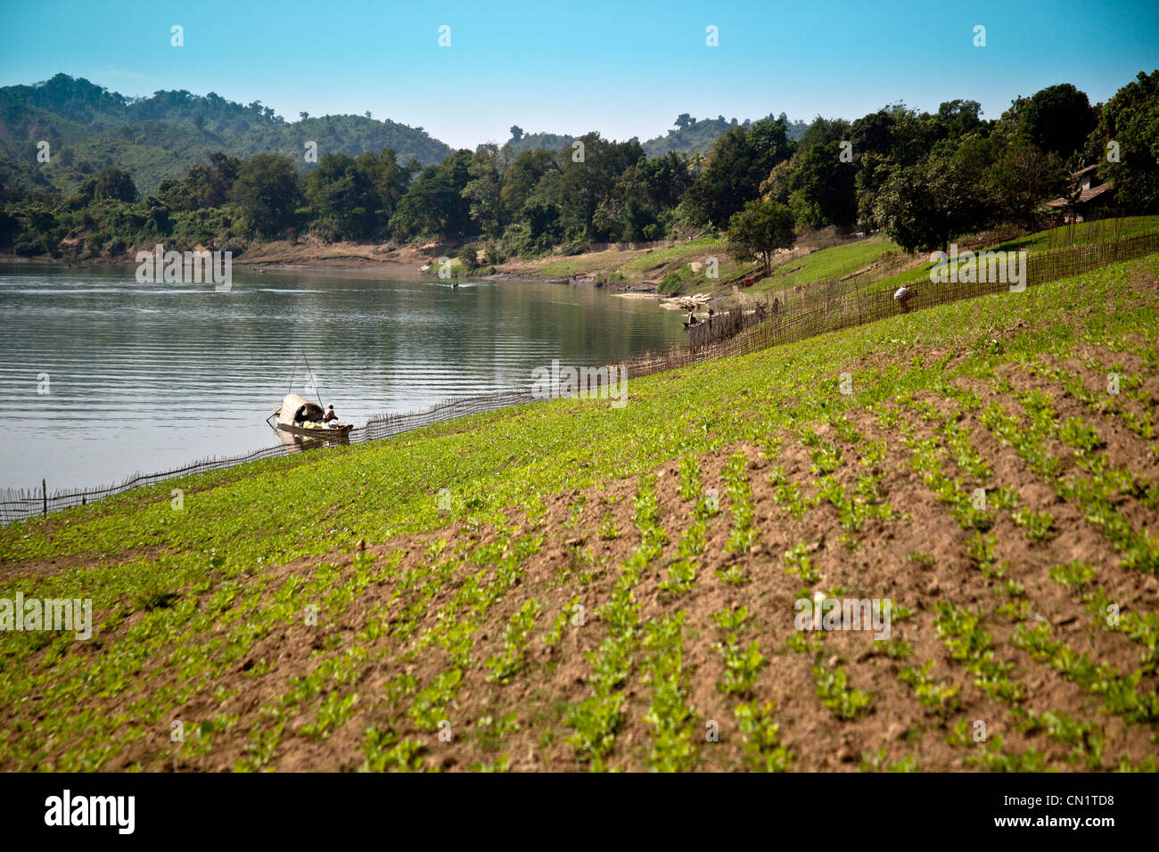 Chin Village farm, Rakhine State, Burma (Myanmar Stock Photo - Alamy