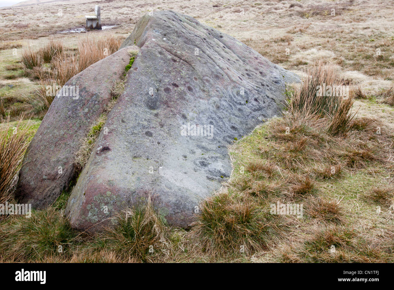 The Badger Stone on Ilkley moor, an ancient millstone grit megalith ...