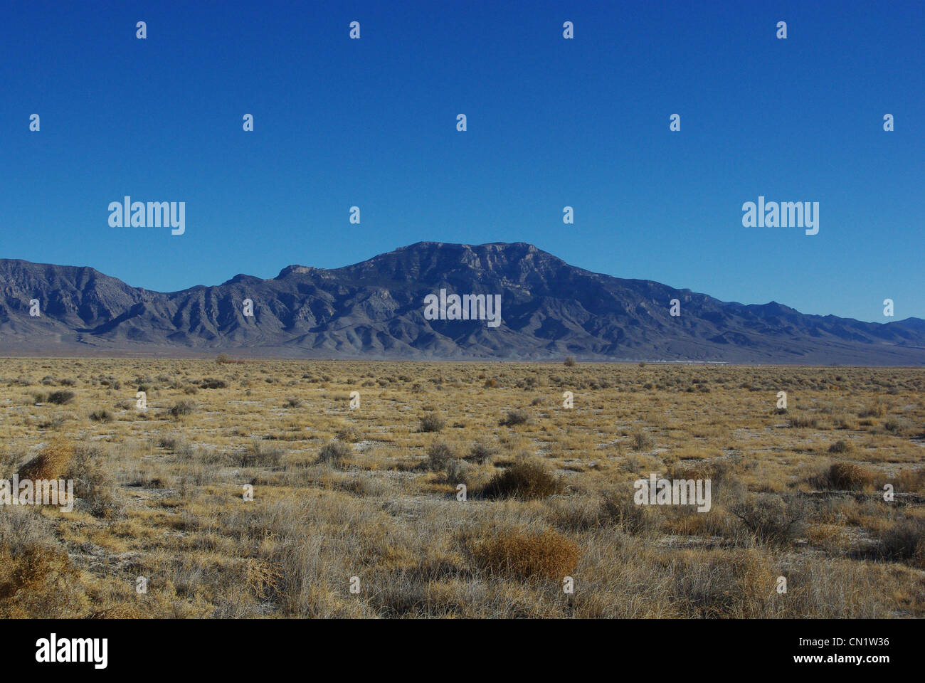 High desert hi-res stock photography and images - Alamy