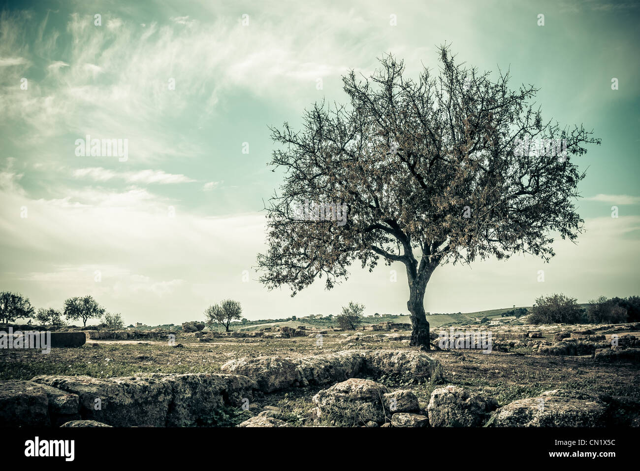 Vintage Style landscape with Trees Stock Photo - Alamy