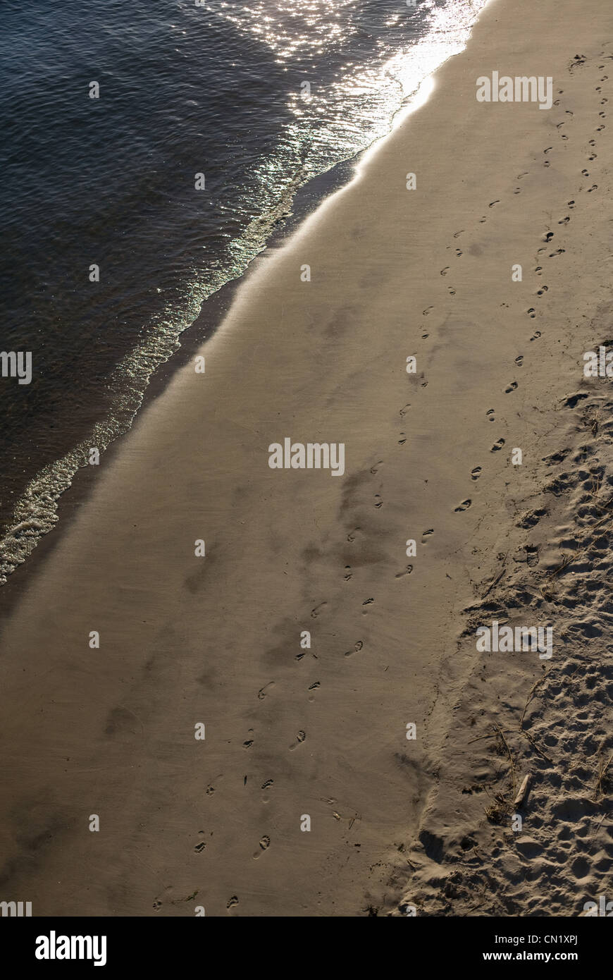 Footprints in sand, high angle view Stock Photo - Alamy