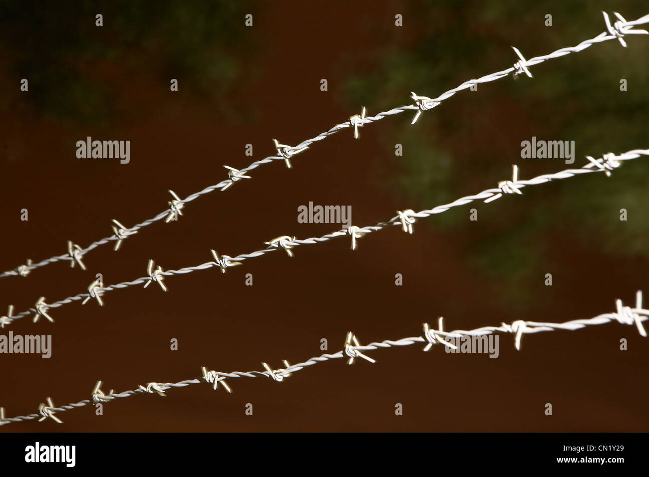 Barbed wire, close up Stock Photo - Alamy