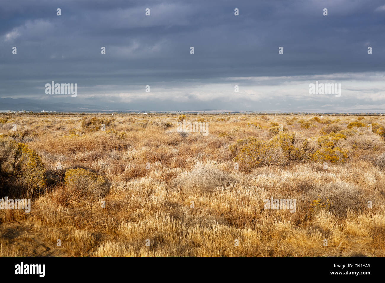 Grey desert hi-res stock photography and images - Alamy