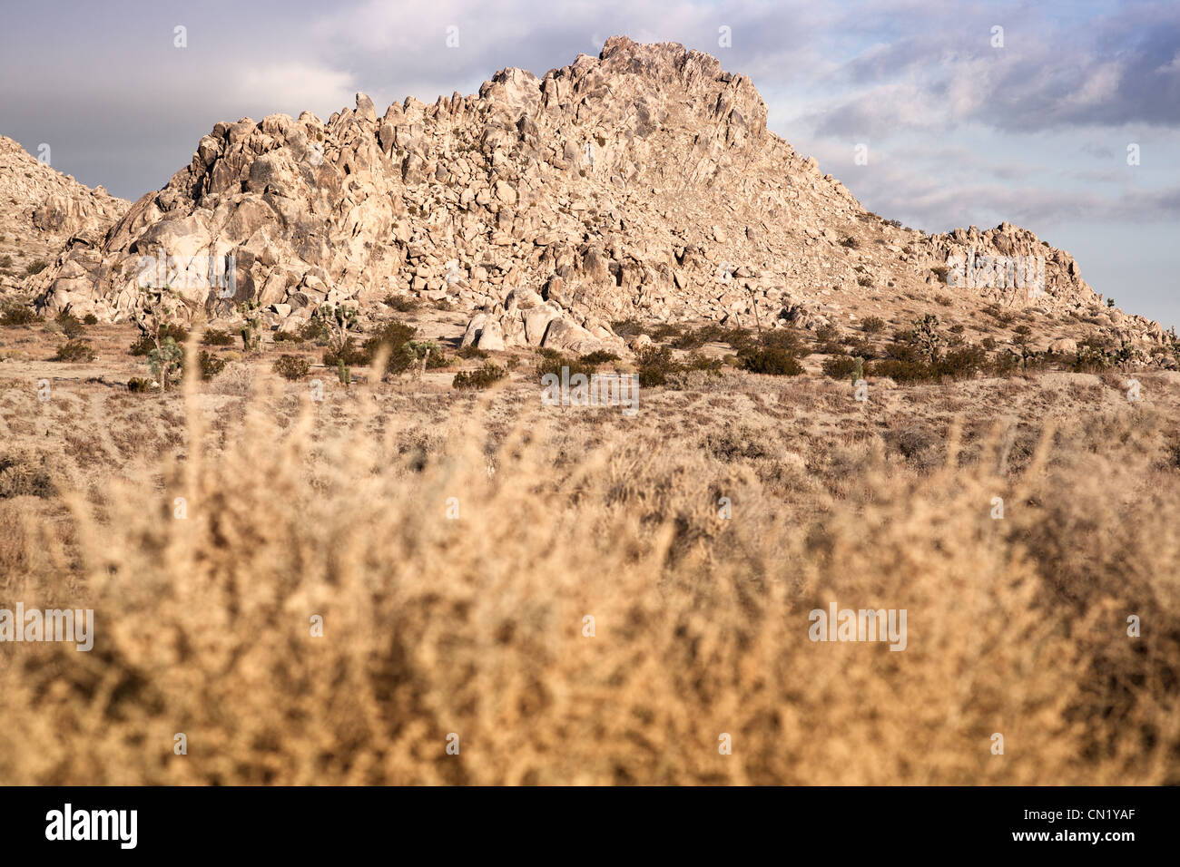 Desert landscape of Southern California Stock Photo - Alamy