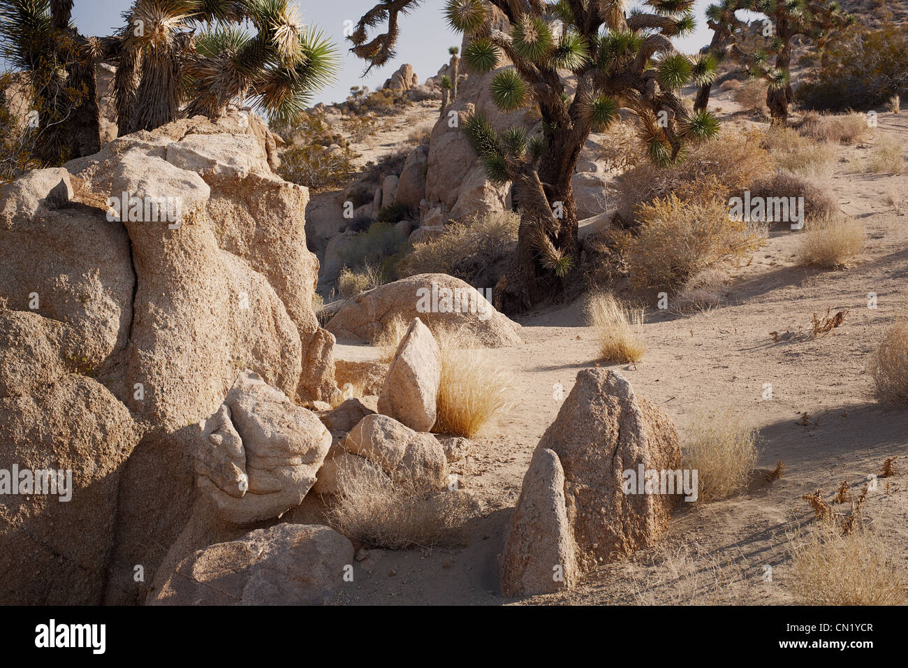 Desert landscape of Southern California Stock Photo - Alamy