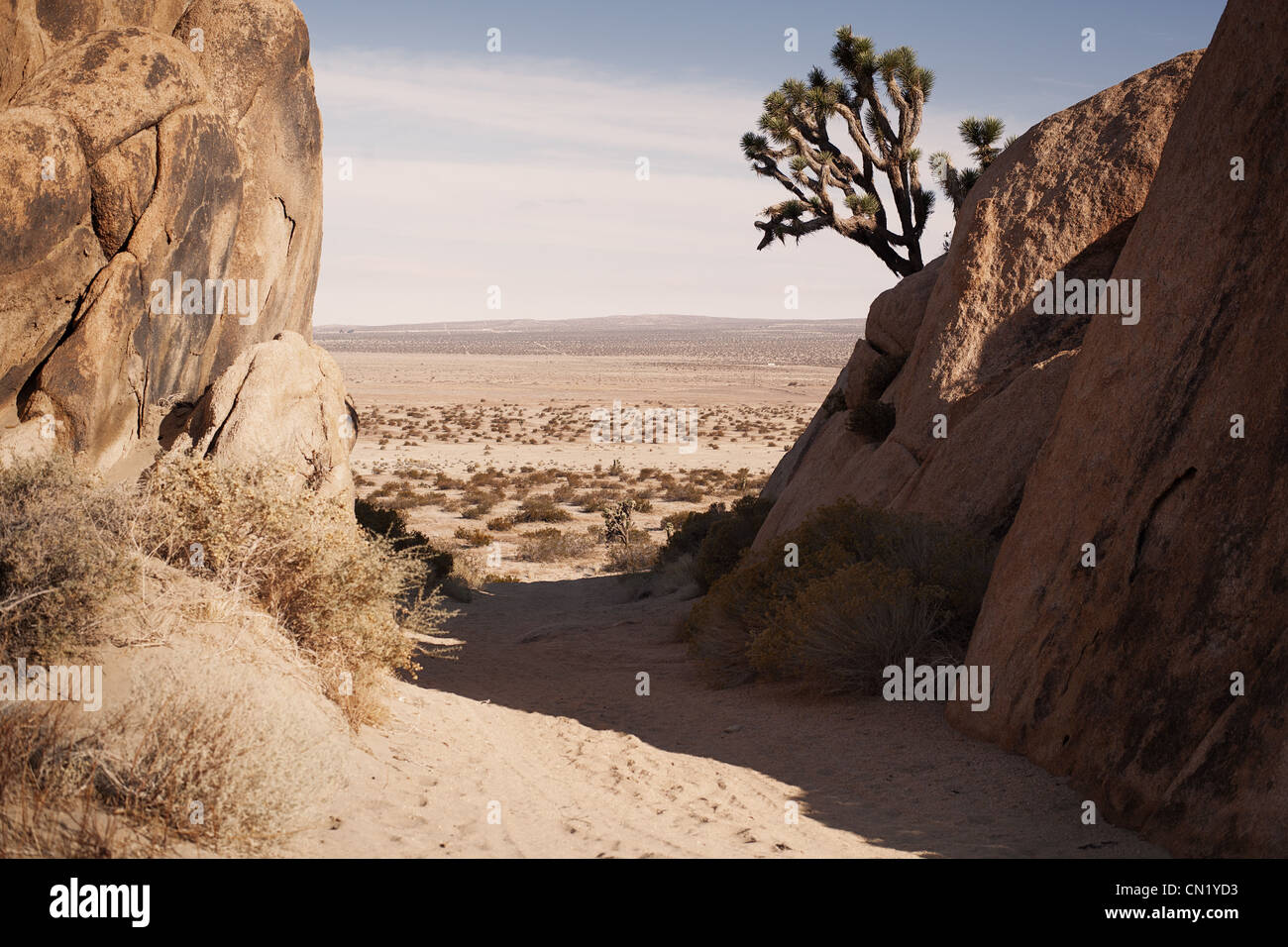Desert landscape of Southern California Stock Photo - Alamy