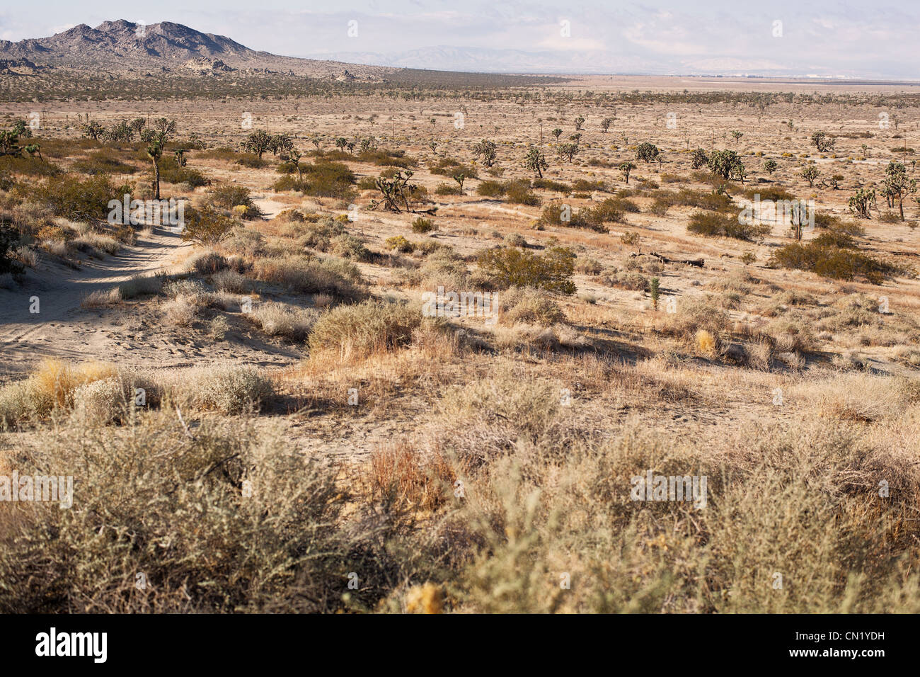 Desert landscape of Southern California Stock Photo - Alamy