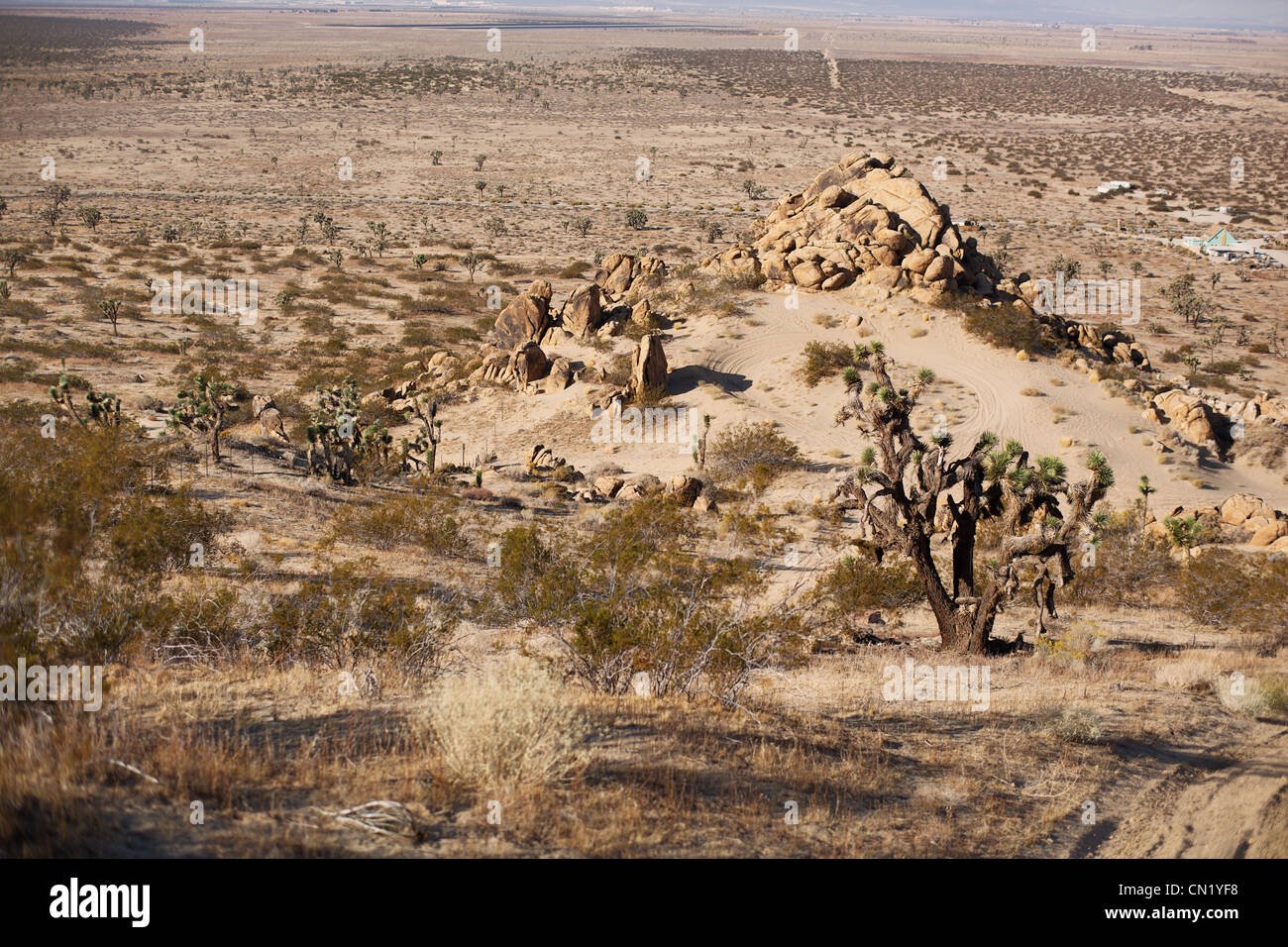 Bush rock hi-res stock photography and images - Alamy