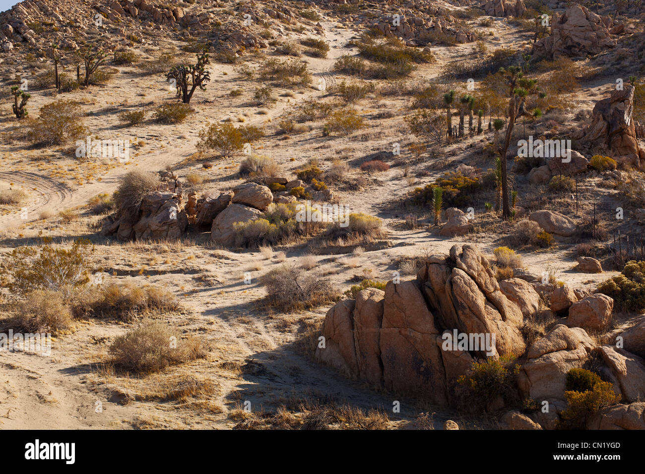 Desert landscape of Southern California Stock Photo - Alamy