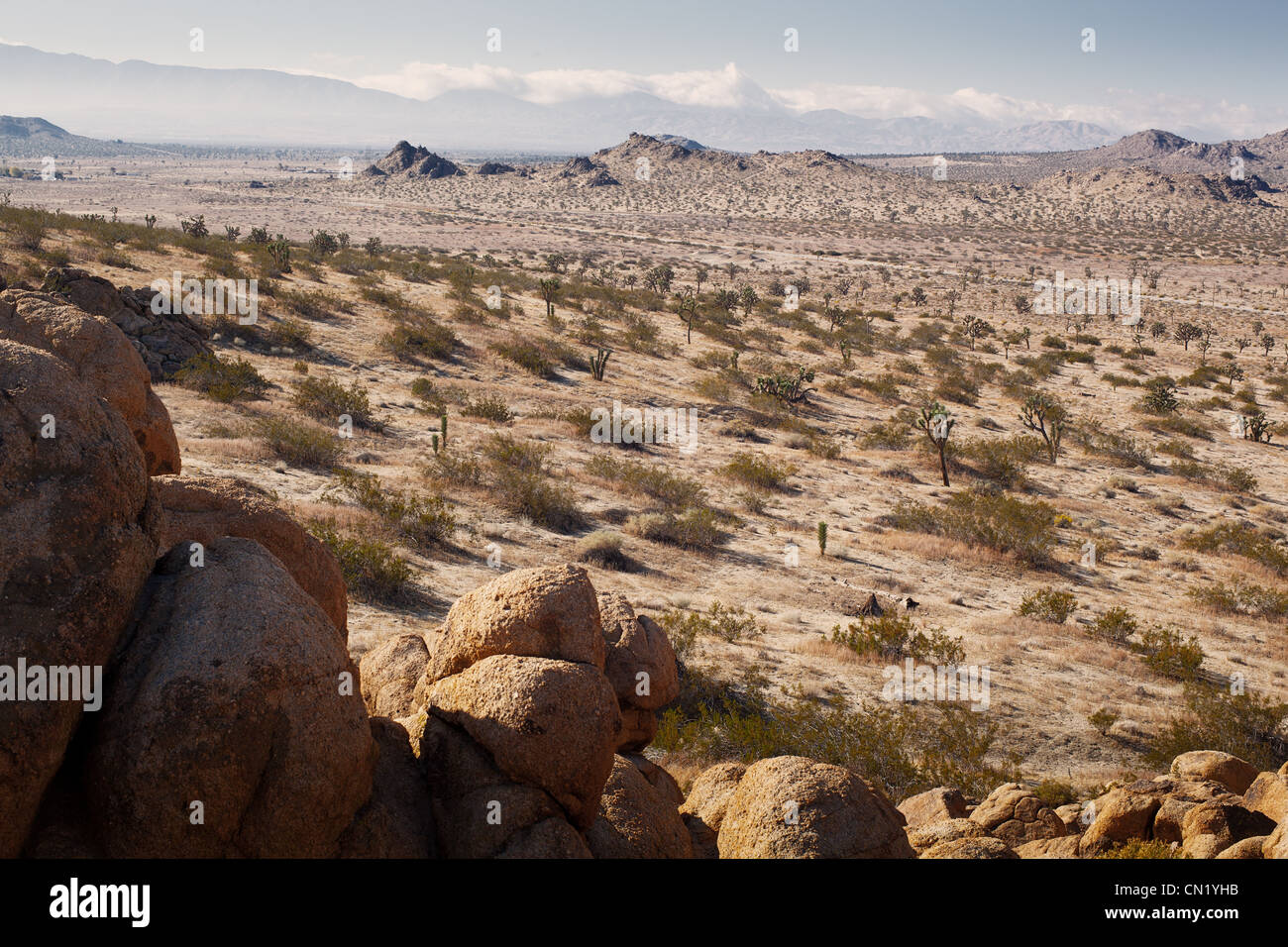 Desert landscape of Southern California Stock Photo - Alamy
