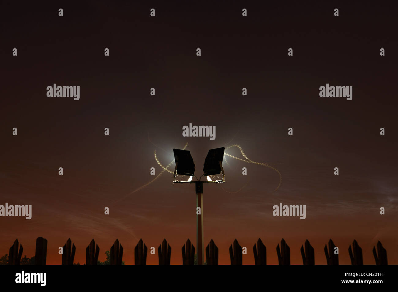 Moth trails around security light at night Stock Photo - Alamy