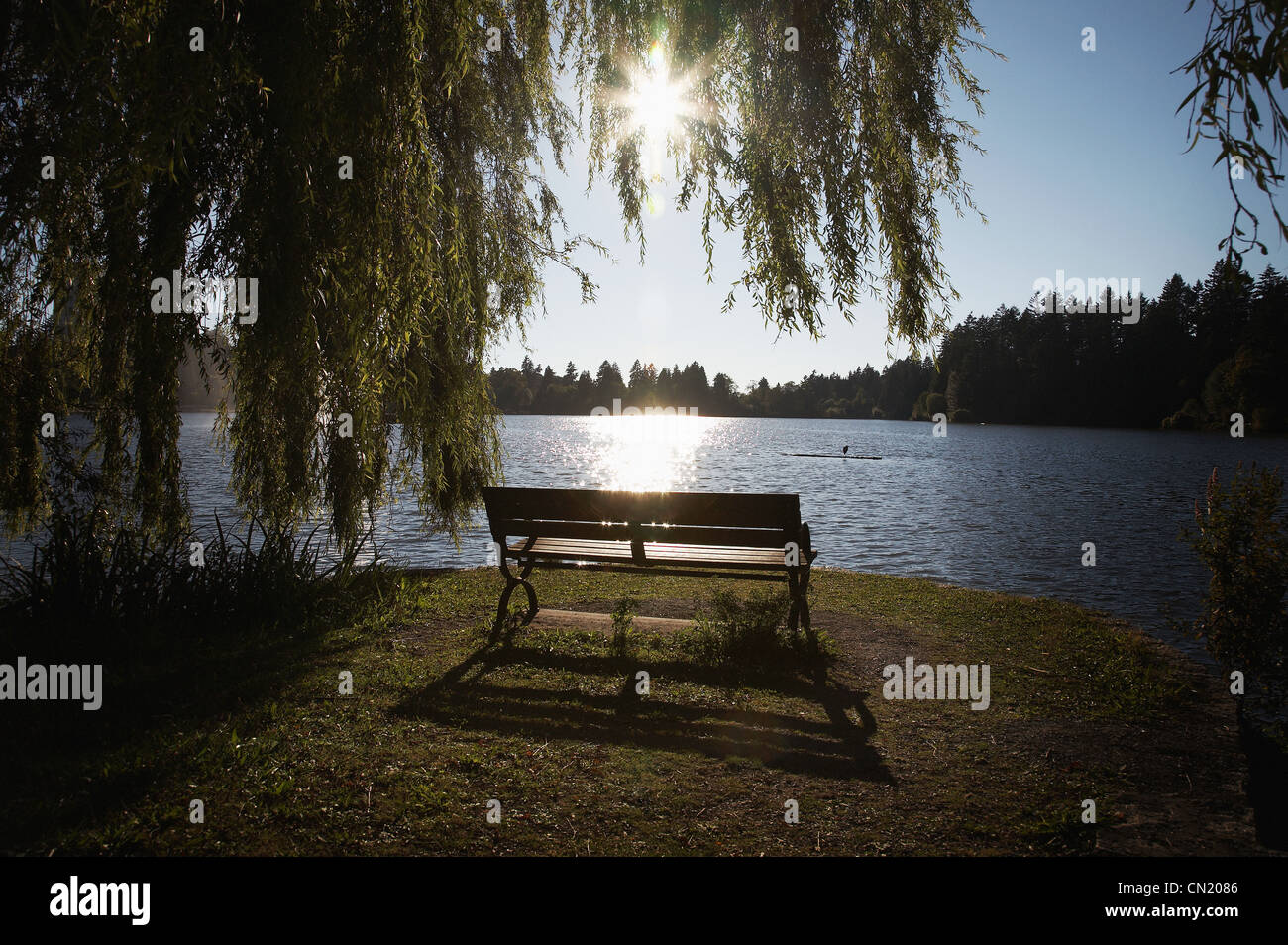 Bench by sunlit lake, Wales, UK Stock Photo - Alamy