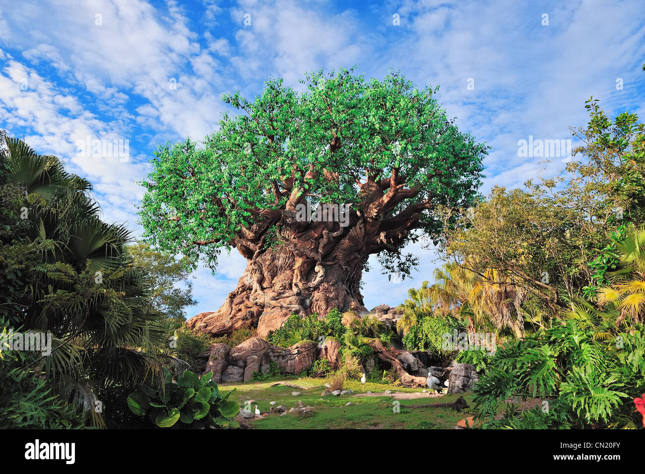 The Tree of Life in forest Stock Photo - Alamy
