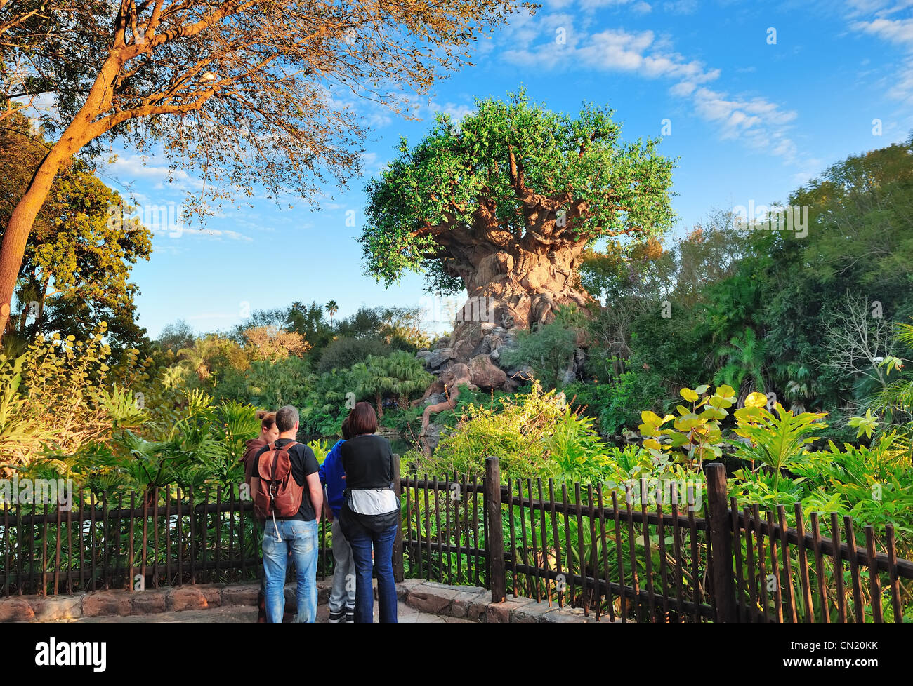 Disney tree of life hi-res stock photography and images - Alamy