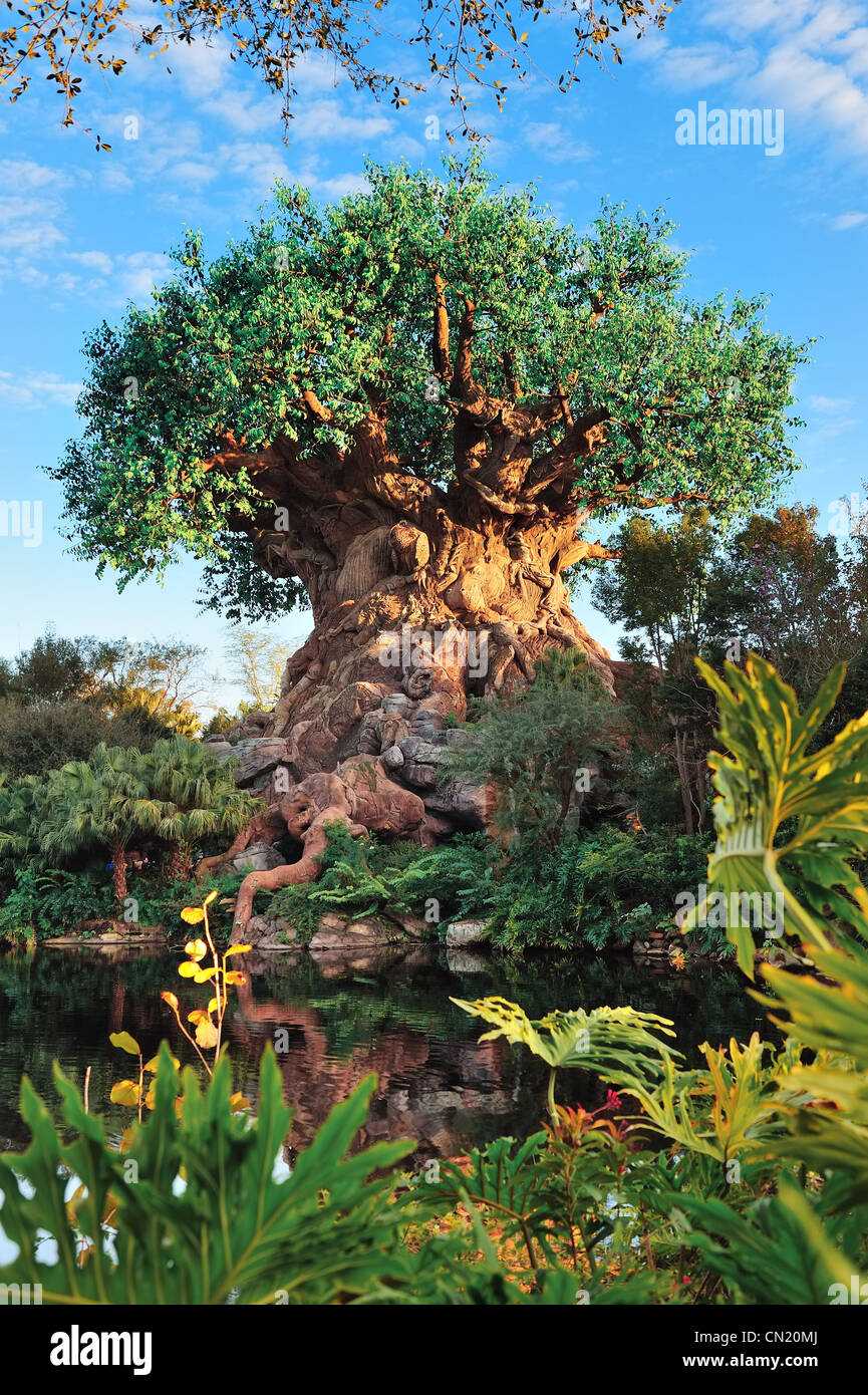 The Tree of Life in forest Stock Photo - Alamy