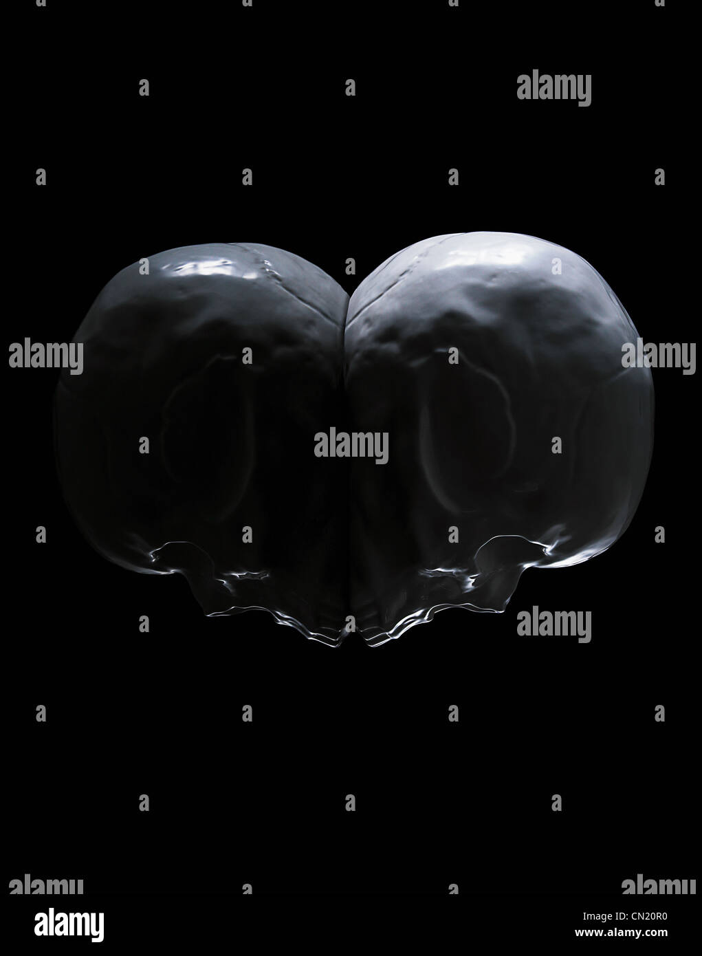 Two skulls against black background Stock Photo - Alamy