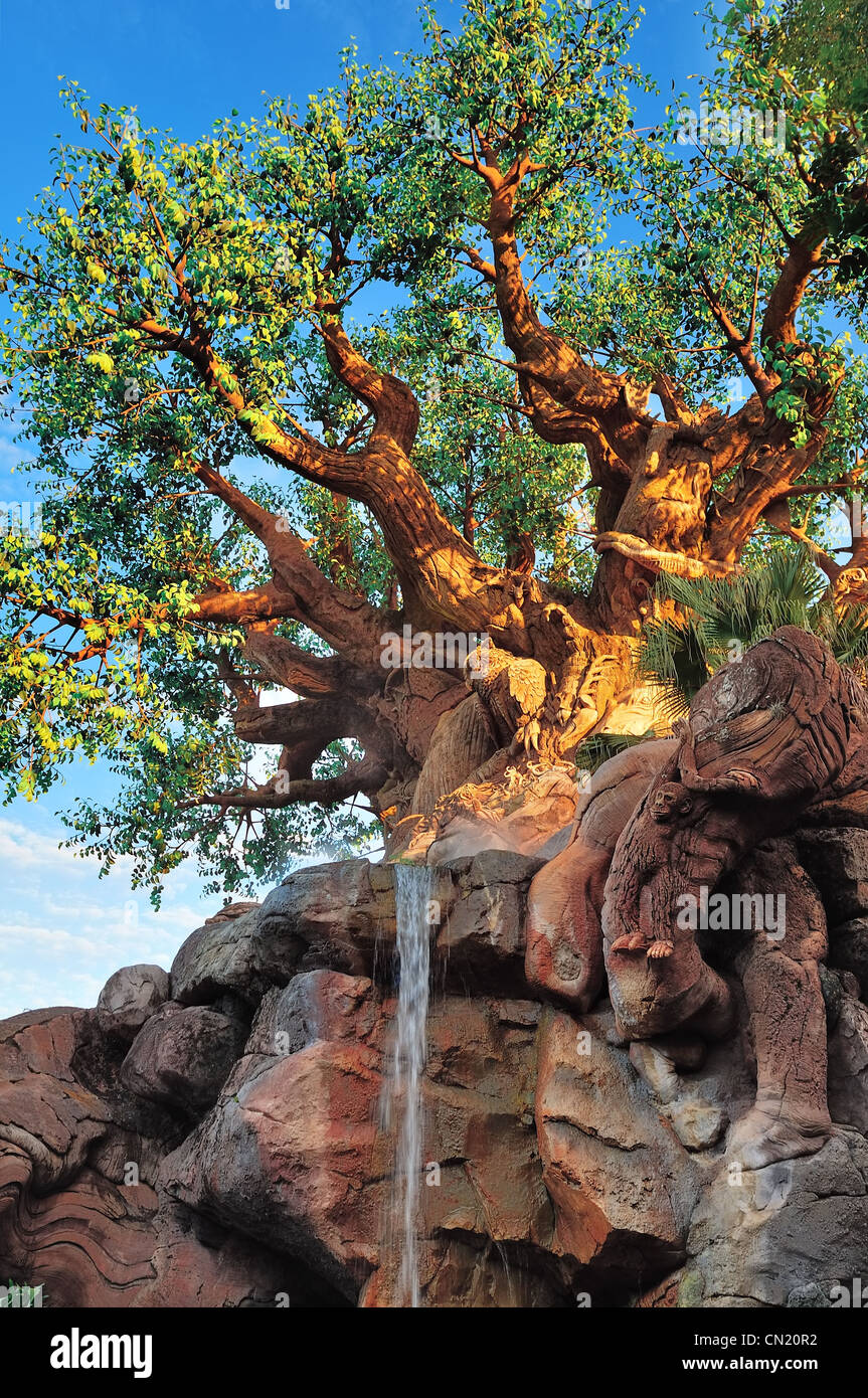 The Tree of Life in forest Stock Photo - Alamy