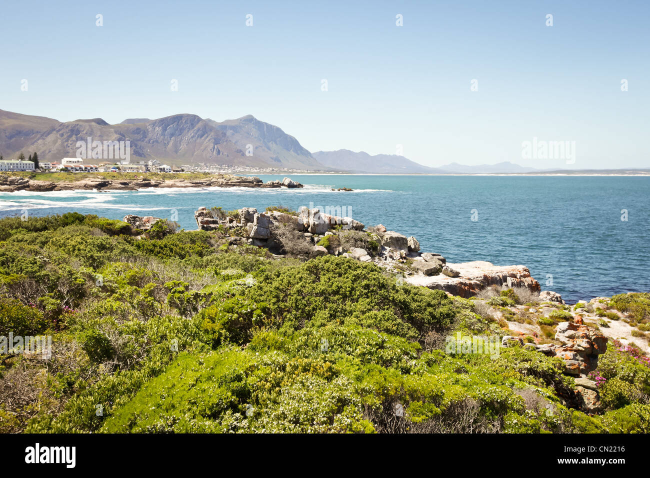 Hermanus whale hi-res stock photography and images - Alamy