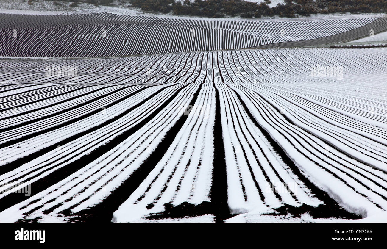 snow on ploughed field Stock Photo - Alamy