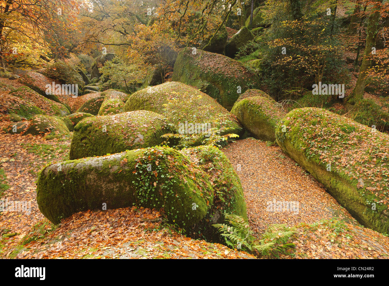 France, Finistere, Parc Naturel Regional d'Armorique (Armorique Natural ...