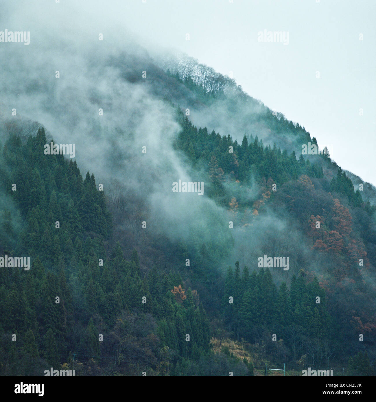 Tadami river hi-res stock photography and images - Alamy