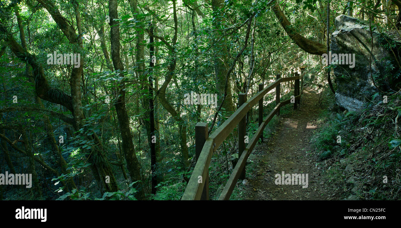 Bunya mountains australia hi-res stock photography and images - Alamy