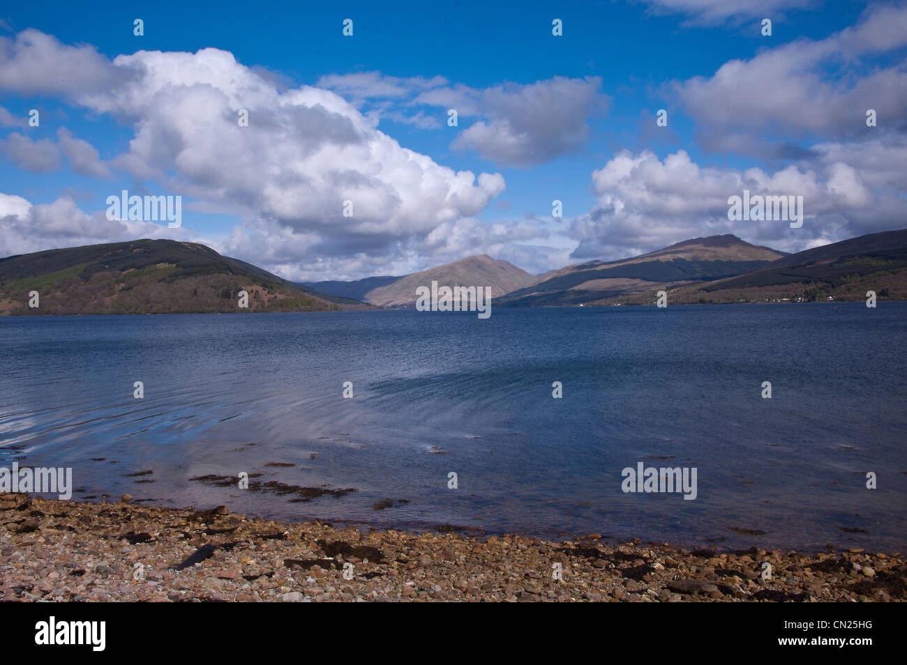 Loch Fyne Scotland Stock Photo - Alamy