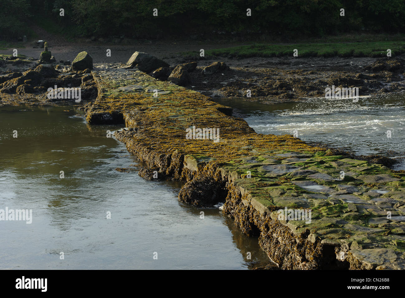 France, Finistere, Plouguerneau, Pont Krac’h or Pont du diable (the ...