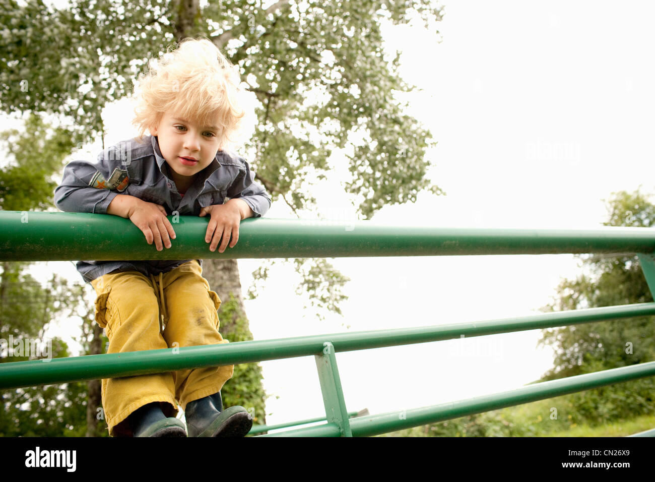 Boy on gate Stock Photo - Alamy