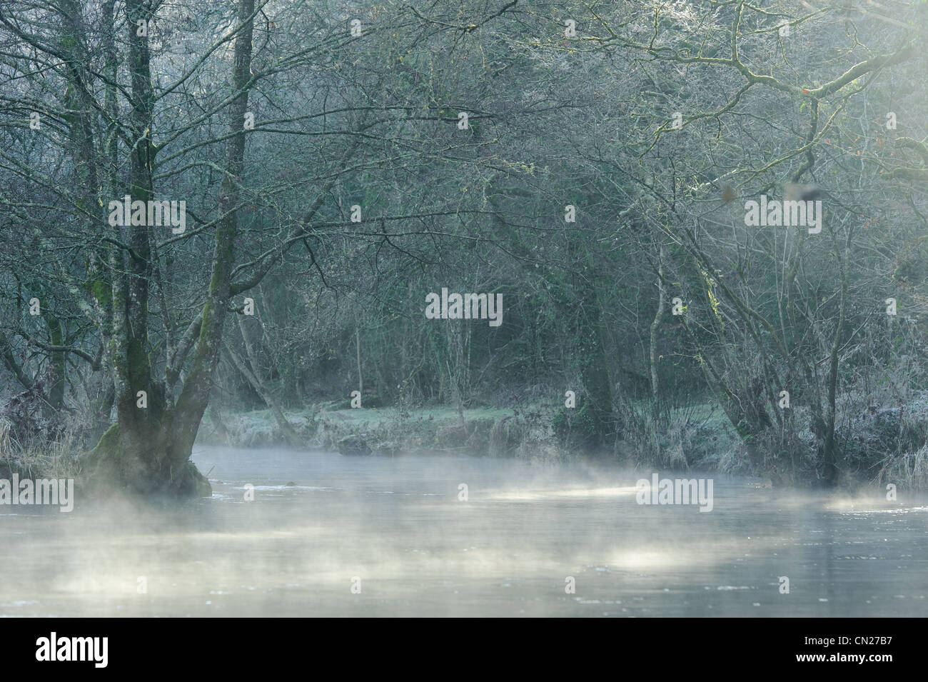 France, Finistere, Quimper, Odet river in the Stangala valley, natural ...