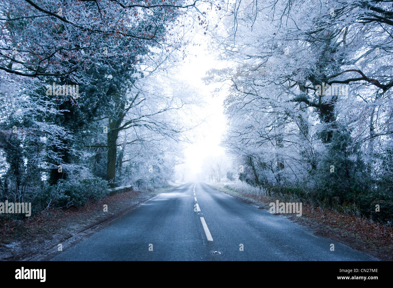 Rural road in winter Stock Photo - Alamy