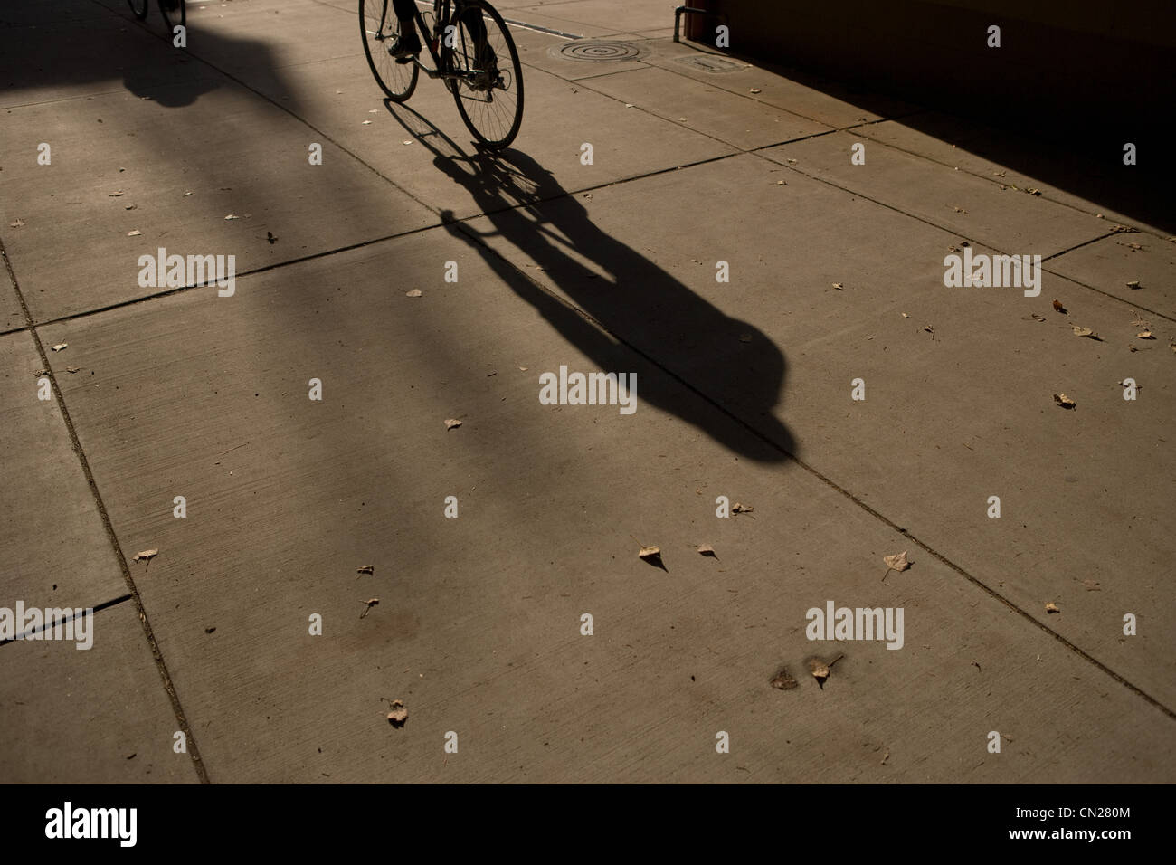 Shadow of person riding bicycle on pavement Stock Photo - Alamy