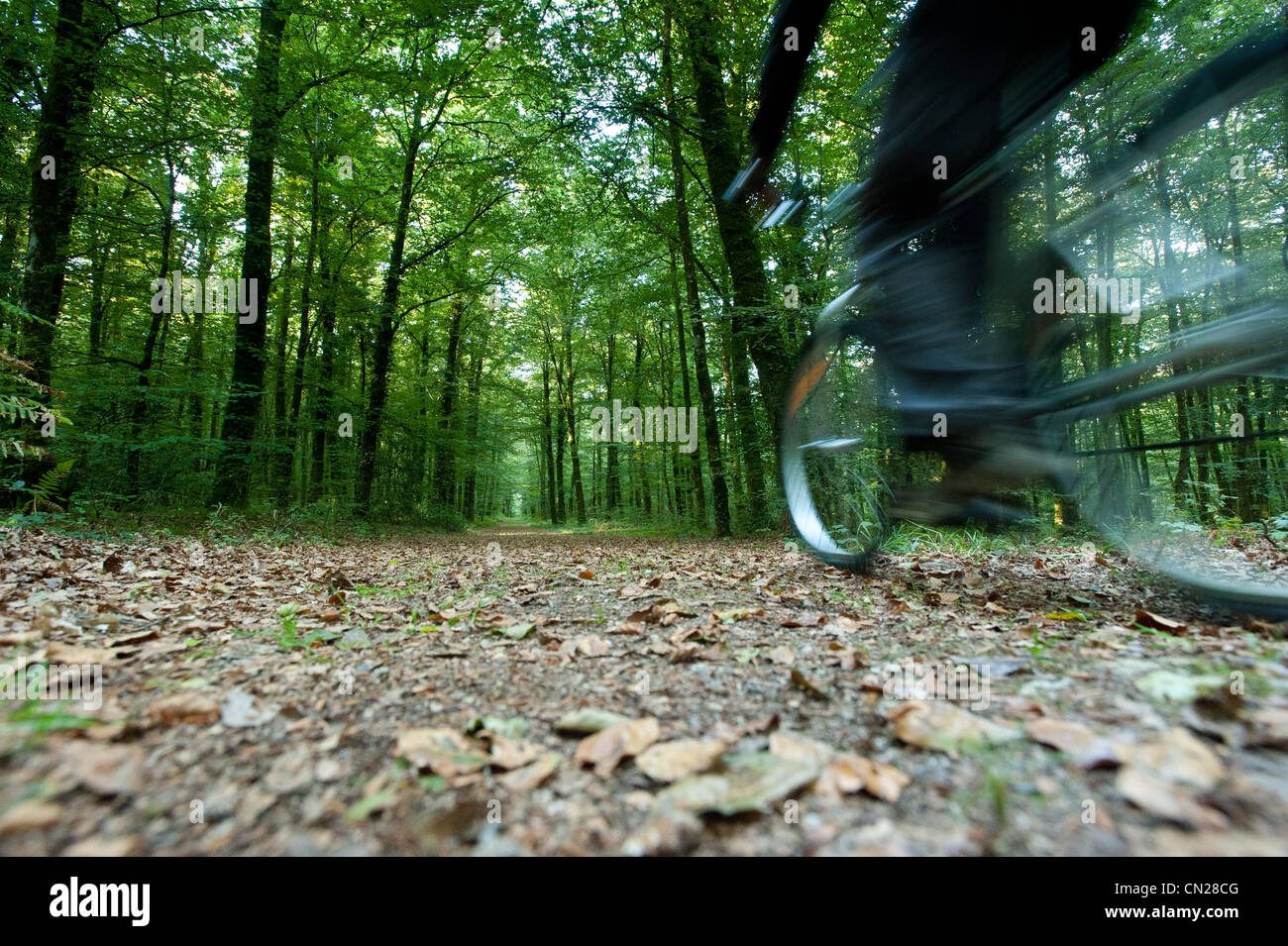 Scaer hi-res stock photography and images - Alamy